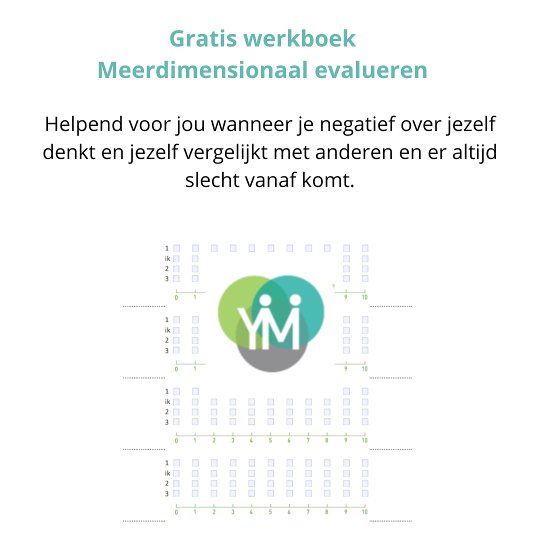 Meerdimensionaal evalueren werkblad - You&Me Psychologie